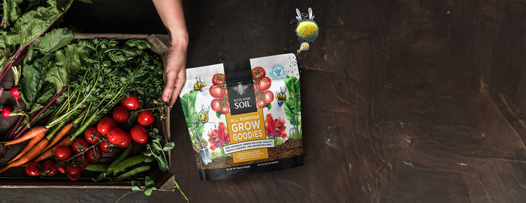 Grow Goodies®, Garden Fertilizer + Organic Plant Food – Bless Your Soil