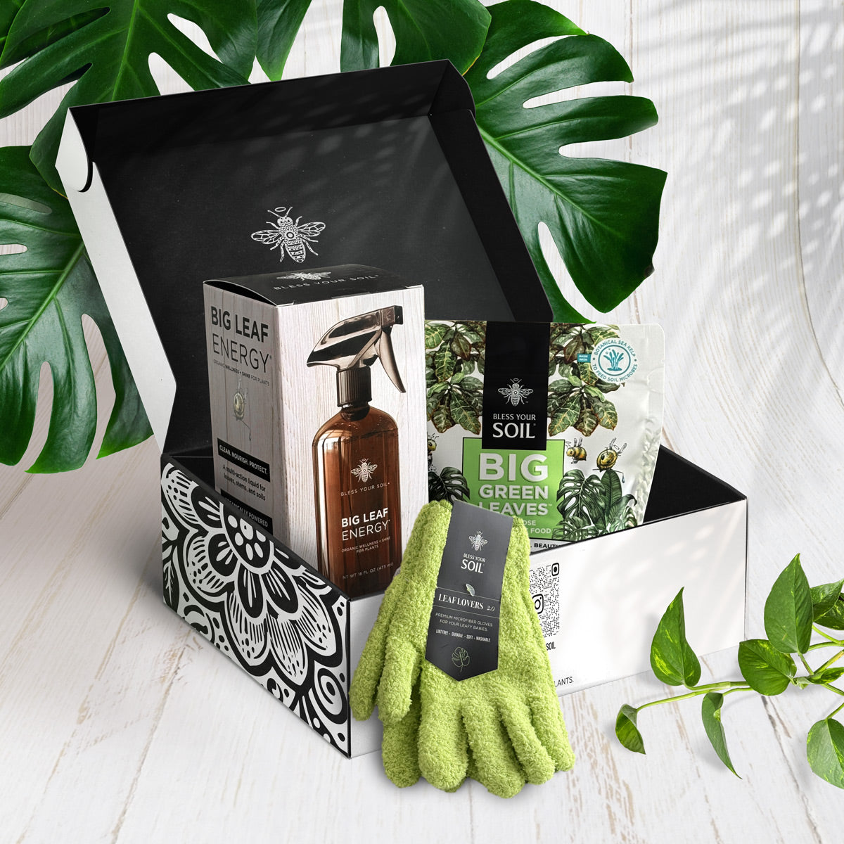 Plant Food : Houseplant Fertilizer : Big Green Leaves® for Indoor Plants