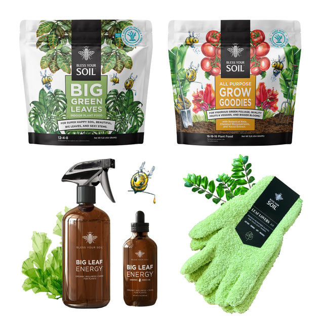 Happy Houseplant Starter Kit : Plant Care Gift Sest