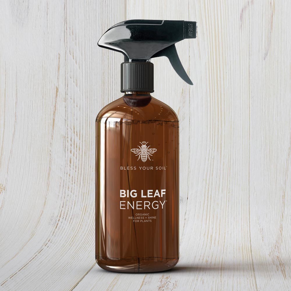 Big Leaf Energy® | Organic Plant Wellness + Shine Spray – Bless Your Soil